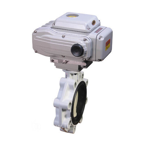 Assured Automation NFKWEPPK4A FK Series Butterfly Valve MFGD | eBay