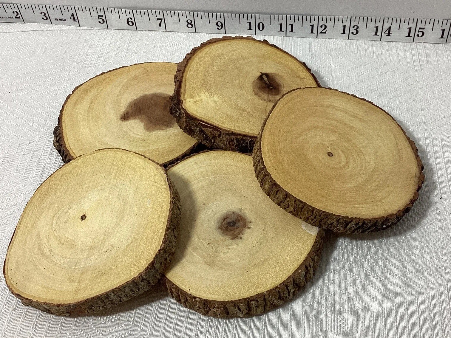 Lipper International Acacia Tree Bark Coasters, Set of 5 Natural Wood ...
