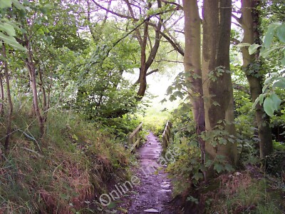 Photo 6x4 Footbridge on path to Shaley Brow Billinge c2010 | eBay