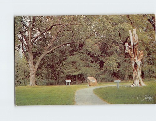 Postcard Hanging Tree George Washington Carver National Monument ...