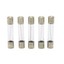 [10x] 5A 250V Fast Blow Fuse Glass Tube Fuse 5 Amp Fuse 6X30mm | eBay