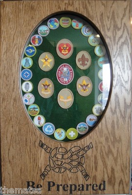 BOY SCOUTS MERIT BADGE DISPLAY CASE SHADOW BOX | eBay
