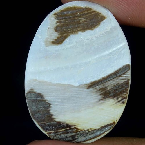 100% Natural White Shell Oval Cabochon Gemstones 37.55Cts 24X 33X 06X ...