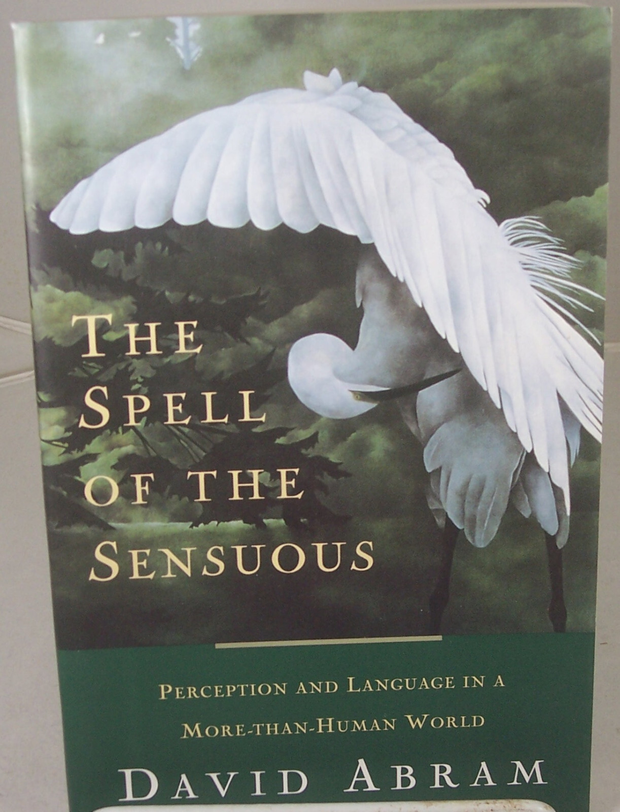 The Spell of the Sensuous : Perception and Language in a More-Than ...