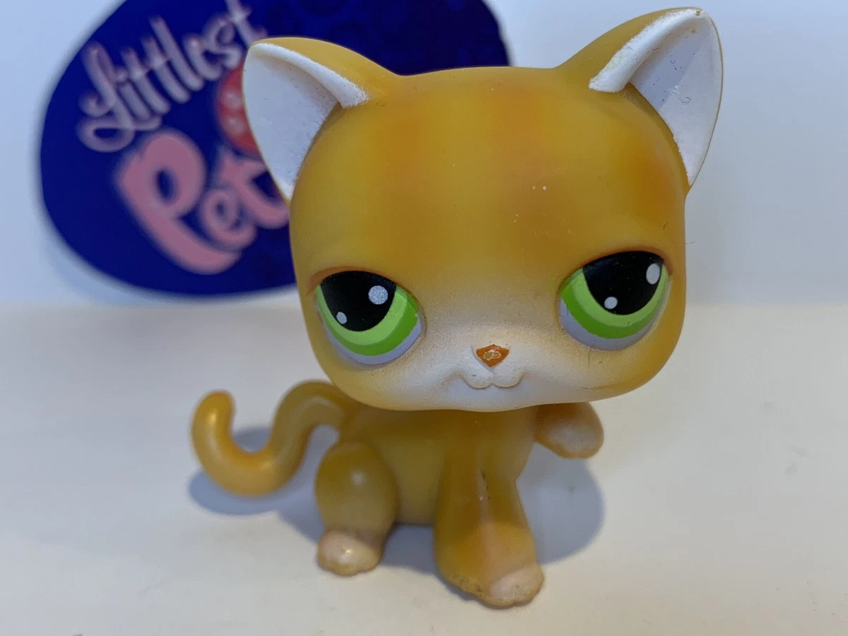 Littlest Pet Shop Cat Ebay
