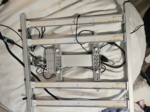 Mars Hydro FC3000-EVO 300W Samsung LM301H EVO LED Grow Lights for Grow ...