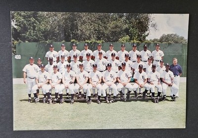 Tampa Yankees 12 X 8 Team Photo | eBay