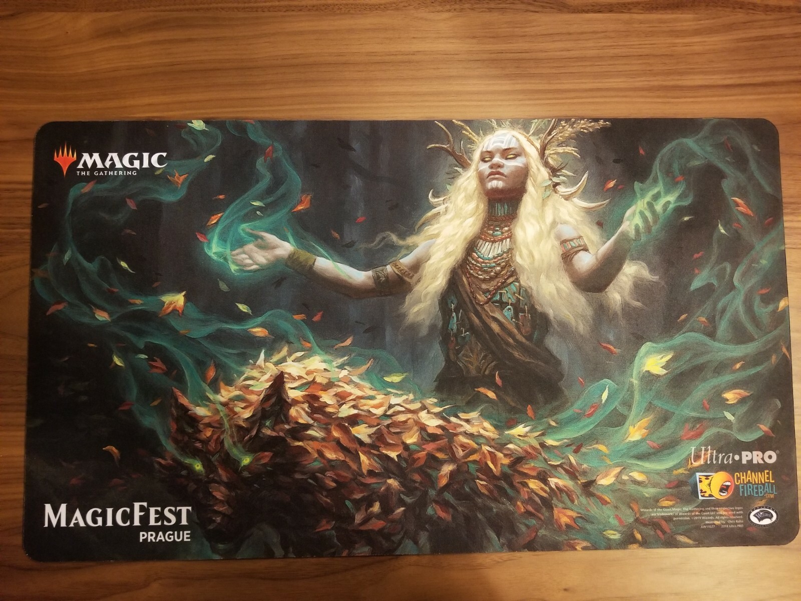 Eternal Witness Magic Fest Prague Playmat MtG New | eBay