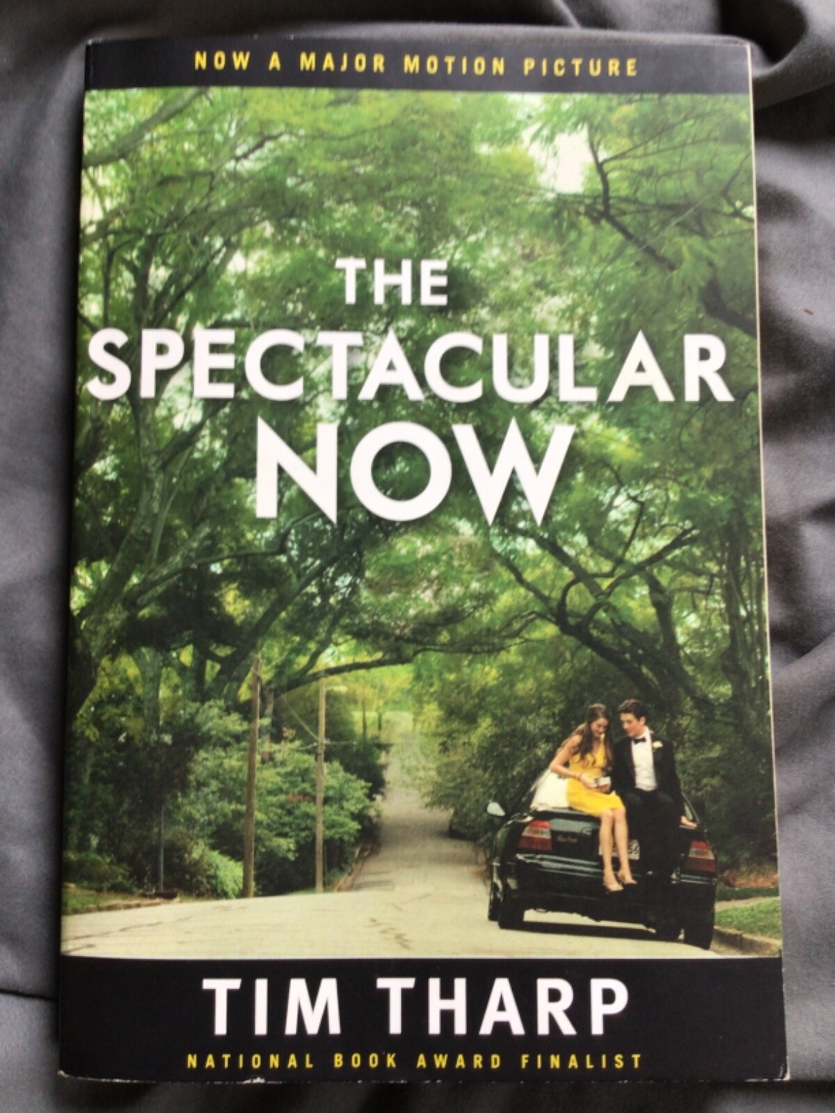 The Spectacular Now Book