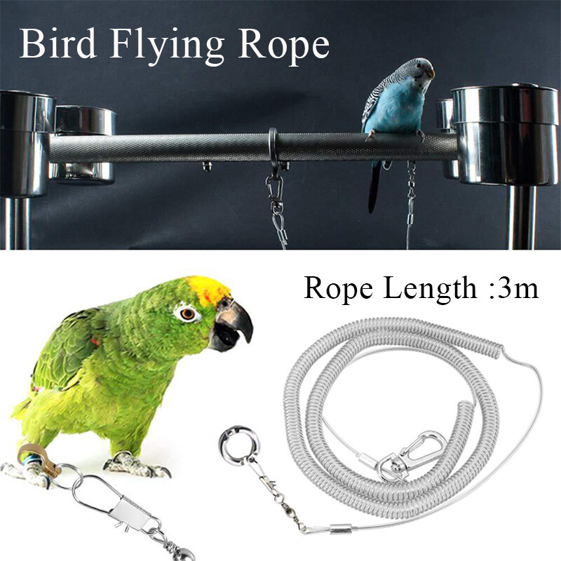 3M Bird Leash Leg Ring Ultra-light Parrot Bird Harness Flying Training ...