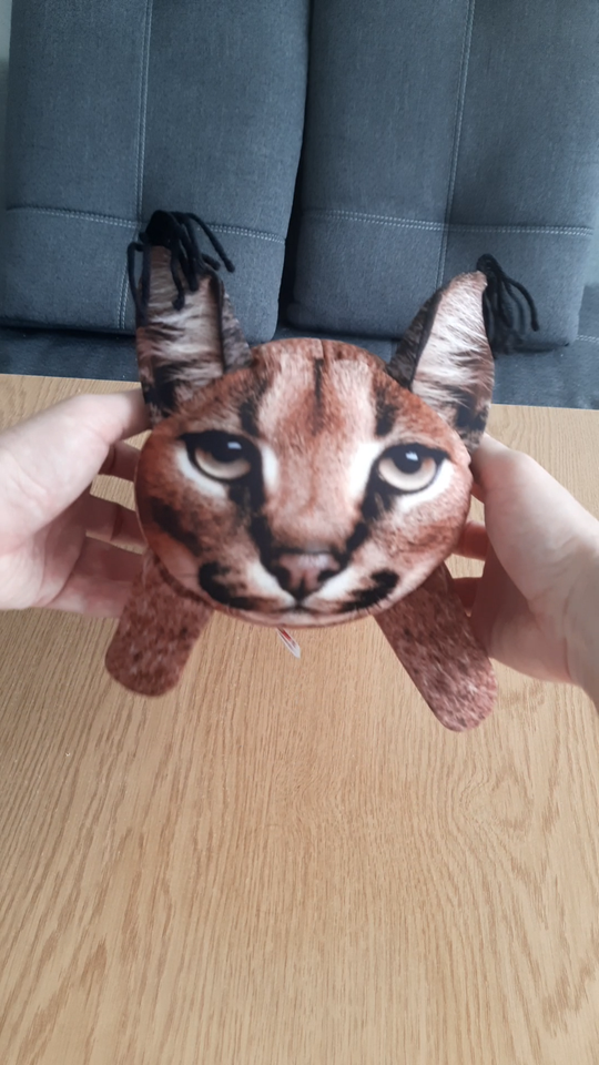 Funny Antistress Soft Toy Lynx " Big Floppa " 30 cm | eBay