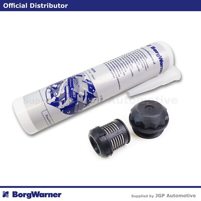 Borgwarner Haldex Performance Differential Oil & Filter Kit - S3 Golf ...