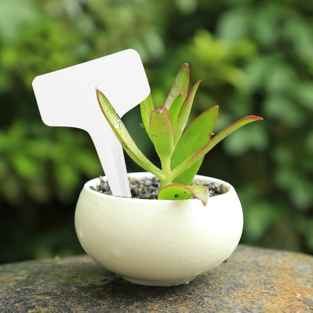100pcs T-Type Garden Plastic Label Flowers Potted Plant Signs Card ...