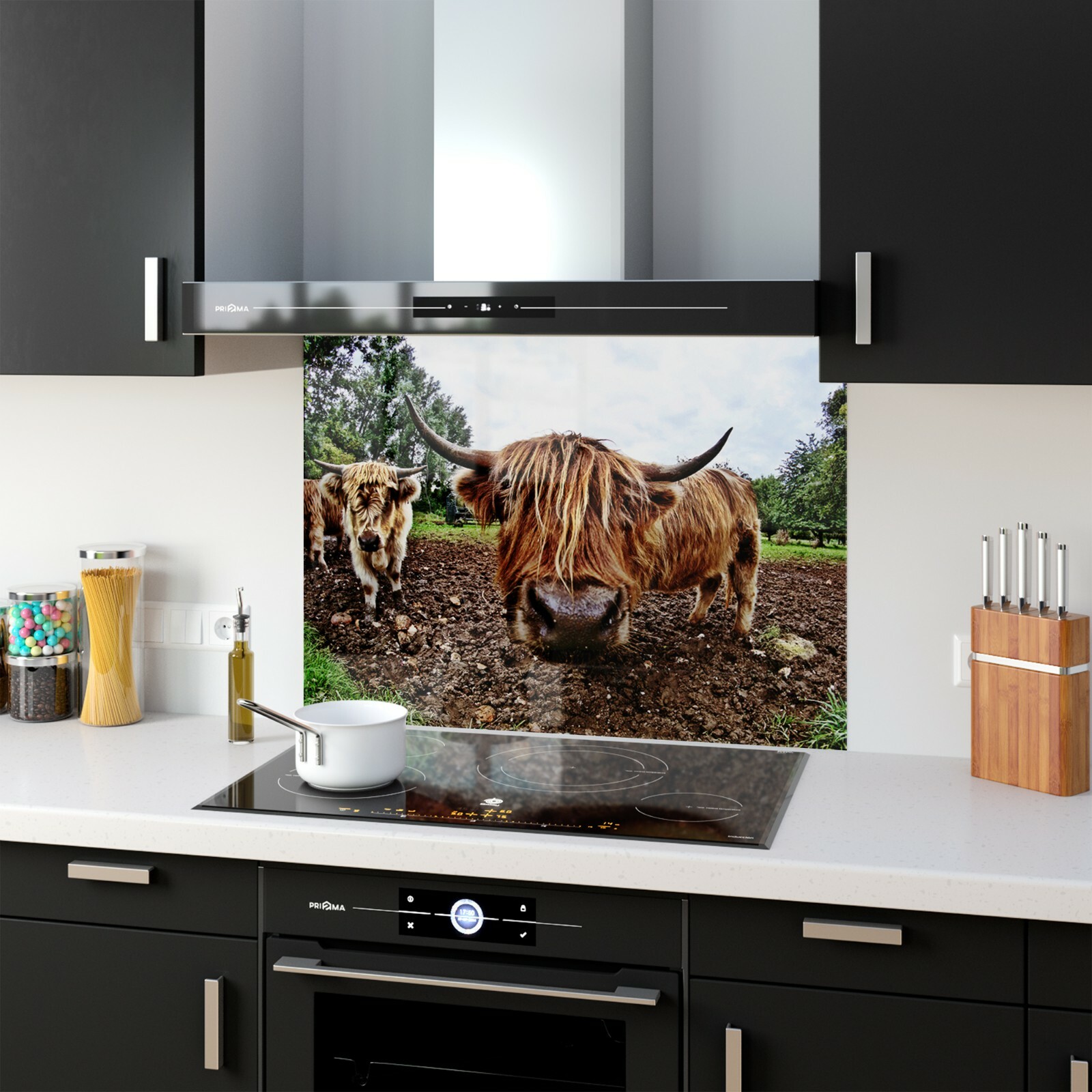 Glass Splashback Kitchen Tile Cooker Panel ANY SIZE Highland Cow Bull ...