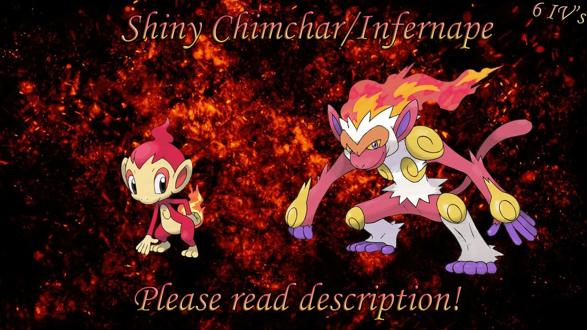 Shiny Chimchar Evolution