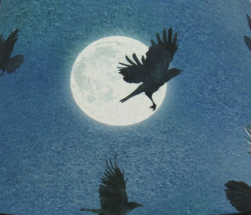 Albert Estate LTd, Black Crow Shade, 4" x 8" x 7" , Standard Clip-on ...