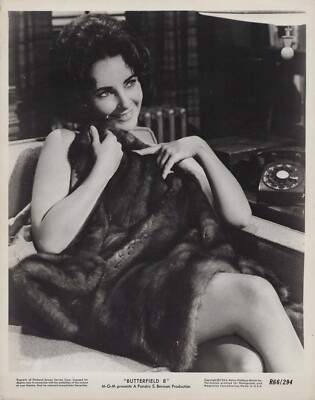 Elizabeth Taylor (1960) Exotic Leggy Cheesecake Vintage MGM Photo K 560 ...