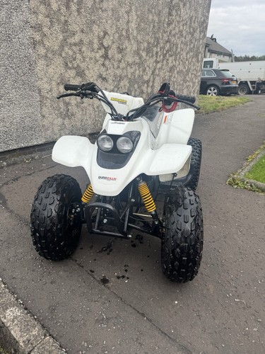 Quadzilla Ram R100 White 100cc with trailer | eBay UK