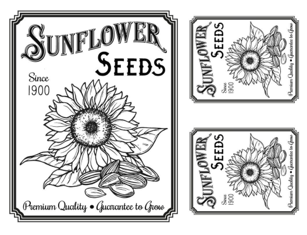 Vintage Image Sunflower, Seeds, Farmhouse, Primitive, Waterslide Decals ...