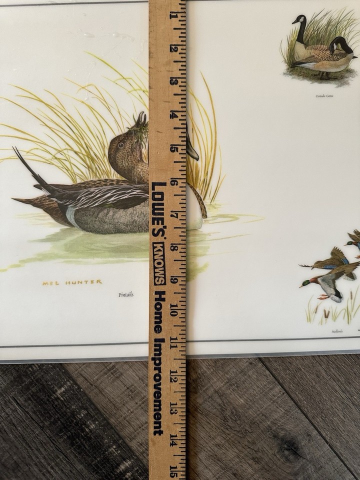 Set of 6 Vintage Ducks Laminated Placemats artist Mel Hunter Hedwin ...