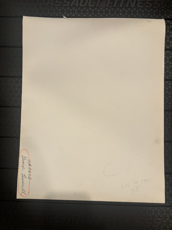 FAYE DUNAWAY (Mommie Dearest) Original Press Photo Signed by GEORGE ...