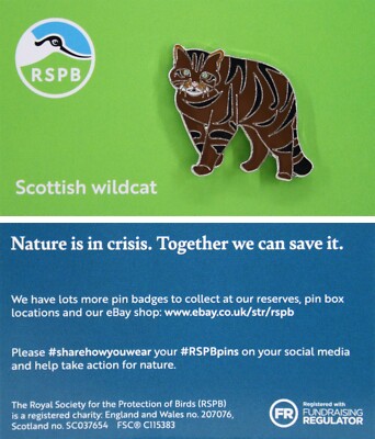 RSPB Pin Badge Scottish Wildcat NIIC P03036 | eBay UK