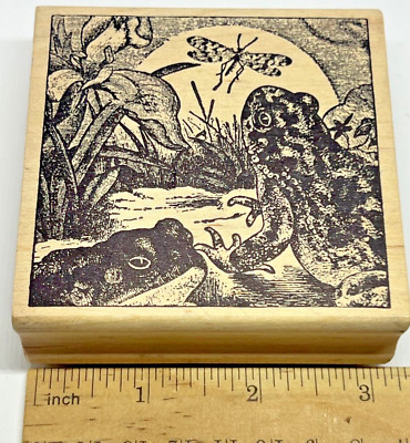 Magenta Frogs Pond Moon Dragonfly 19028M Wood Mounted Rubber Stamp | eBay