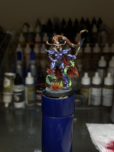 Ranger Warlock Bug Dark Elf Miniature Dungeons & Dragons Pro Painted ...