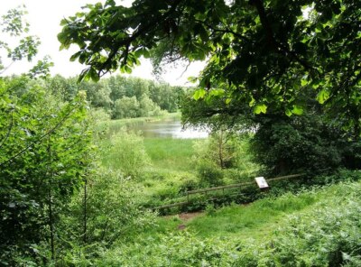 Photo 6x4 Hurcott Pool Hurcott/SO8577 The information board which can ...