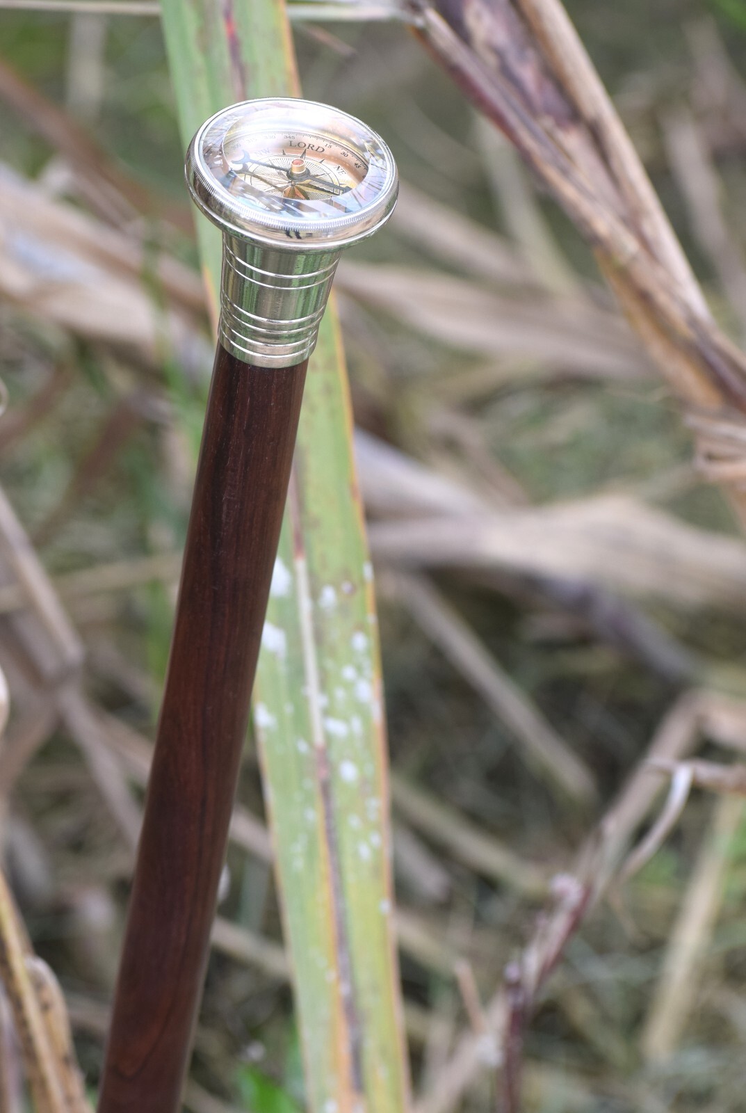 Brass Walking Stick Handmade Walking Stick with Compa… - Gem