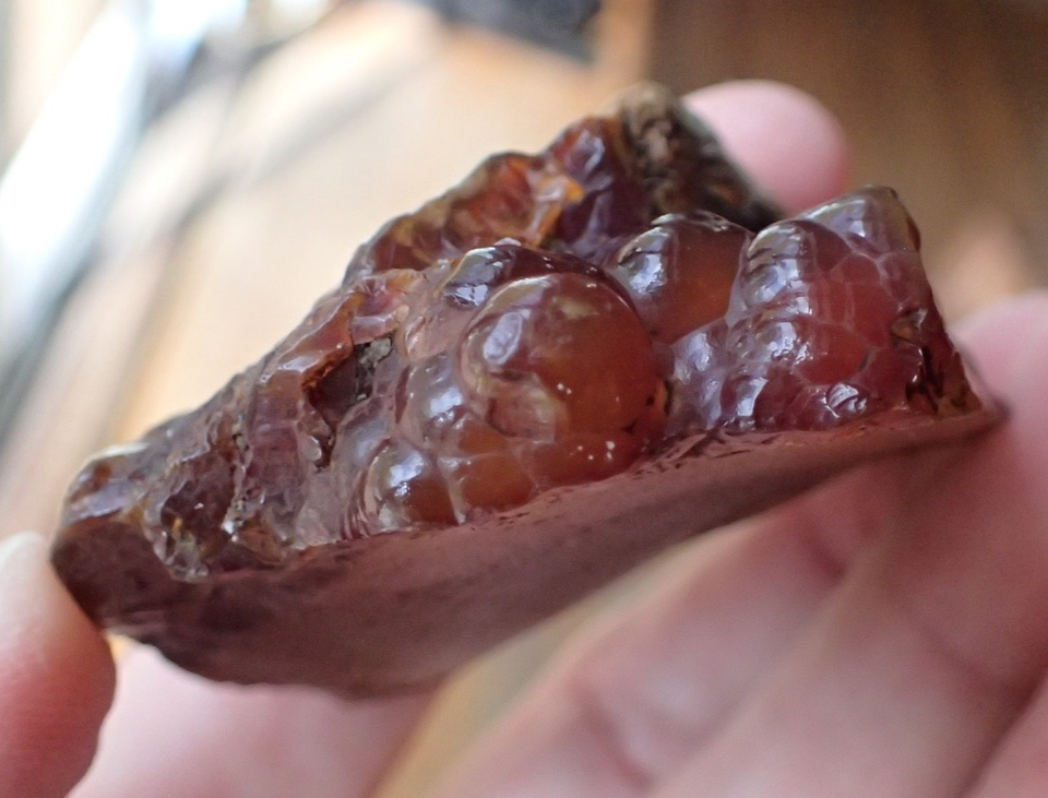 Botryoidal Fossil Coral Geode Fragment GA Agate Specimen Collection Gem ...