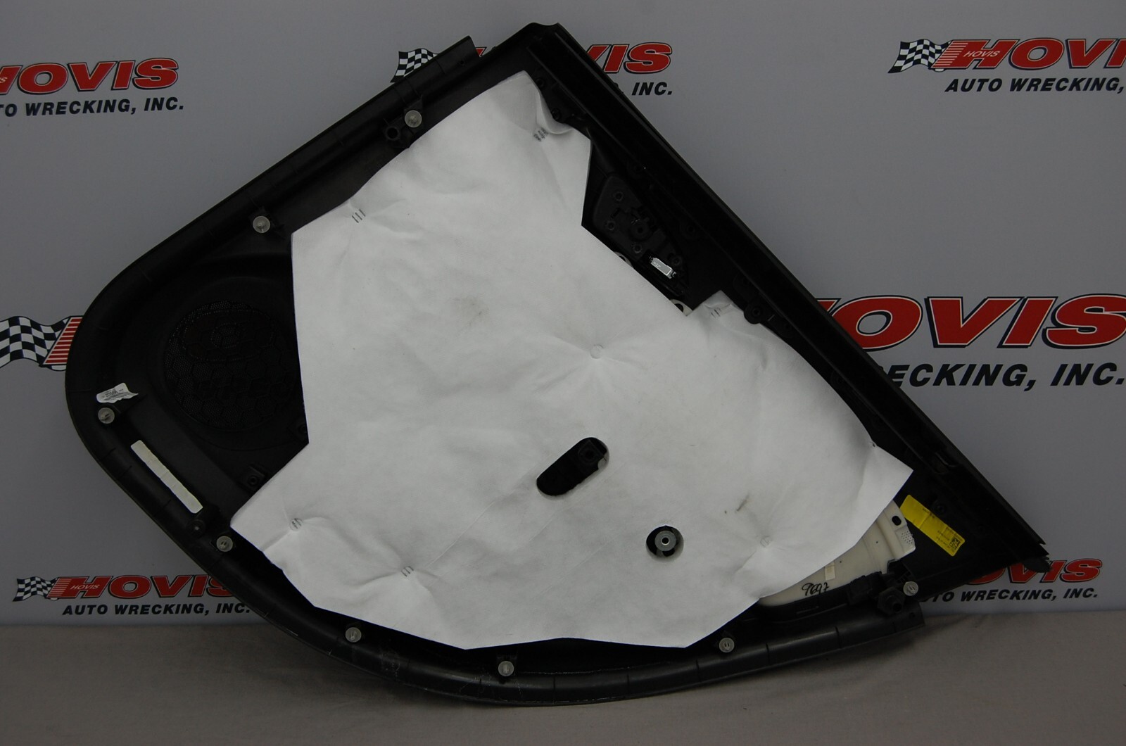 2017 Chevy Cruze LH Driver Side Rear Interior Door Panel, Fits (2016 ...