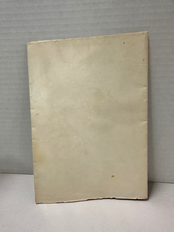 Champion Fullcolor Map Mobile Alabama Vintage City Map Illustration | eBay