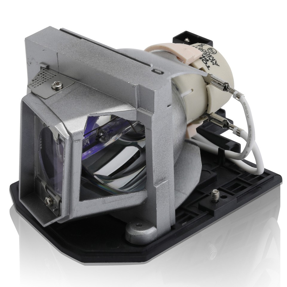 Replacement Projector Lamp BL-FU240A with Housing for Optoma HD25-LV ...