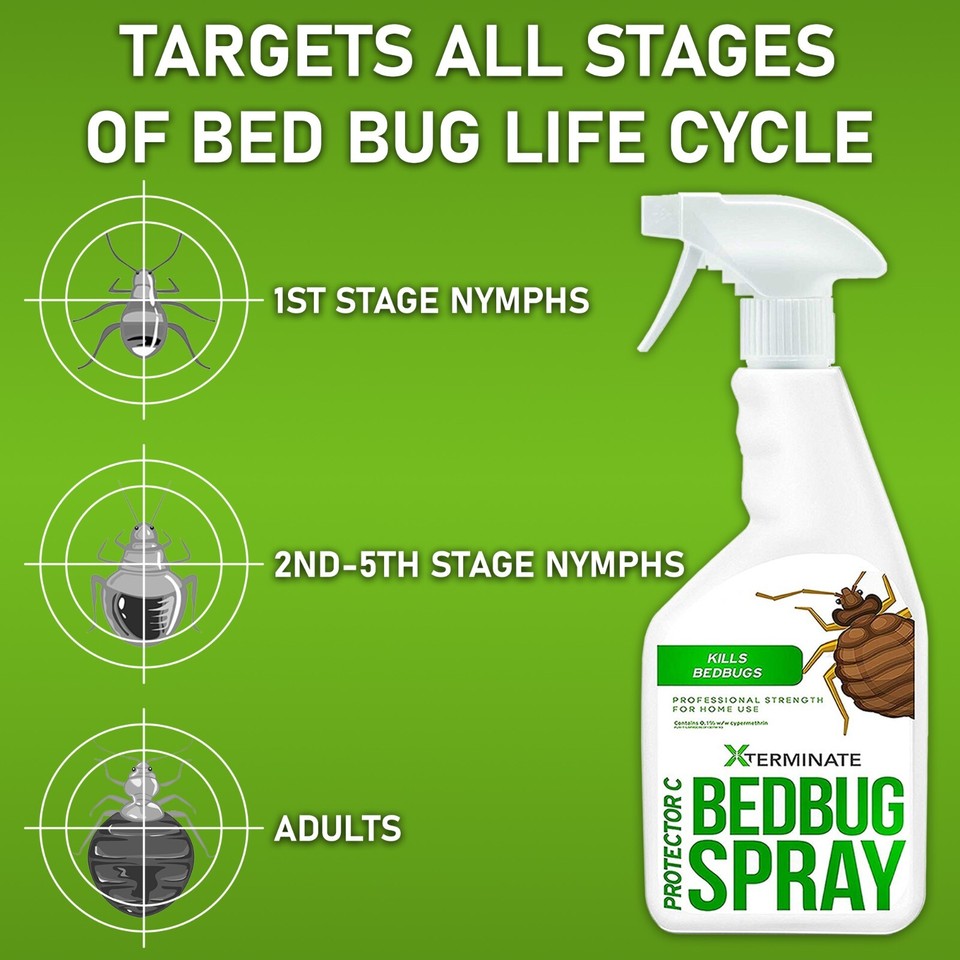 Xterminate Bed Bug Spray Insect Killer Control Treatment Hotel Home & 5L Pump | eBay UK