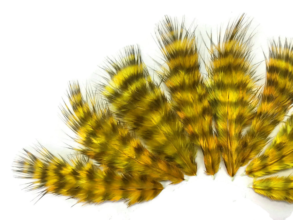 1 Dozen - Yellow Grizzly Mini Rooster Chickabou Fluff Whiting Hair ...