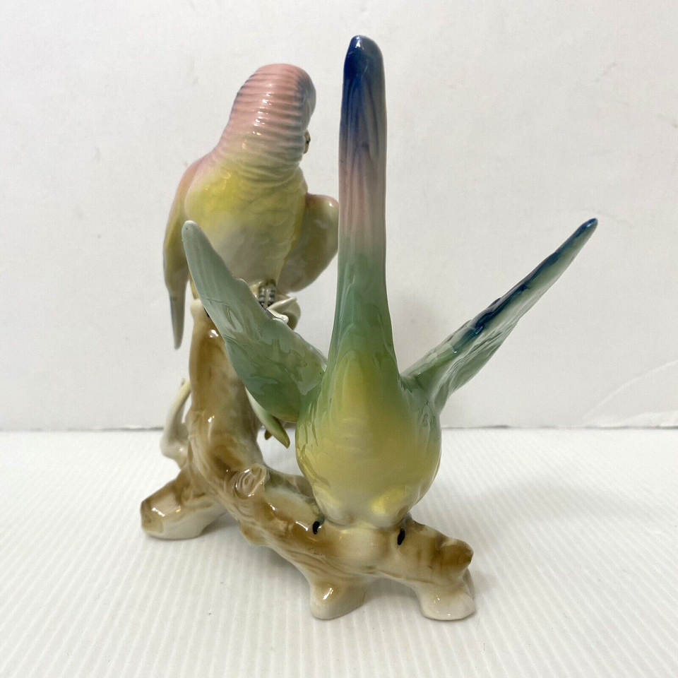 Wilhelm Rittirsch Dresden Porcelain Parakeet Parrot Bird Figurine Not ...