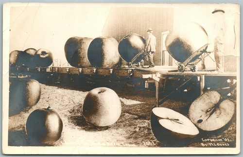 EXAGGERATED APPLES ANTIQUE REAL PHOTO POSTCARD RPPC RAILROAD FREIGHT ...