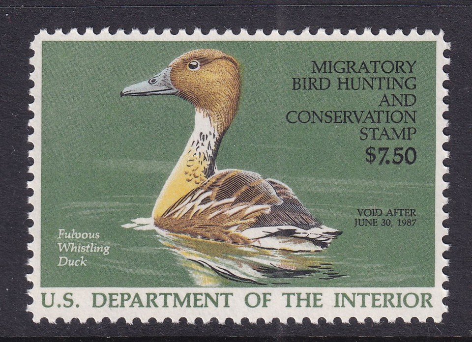 1986 Federal Duck Hunting Stamp $7.50 Sc RW53 MNH single Cinnamon Teal ...