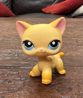 Littlest Pet Shop LPS Brooke Hayes 339 Yellow Shorthair Cat Pet | eBay
