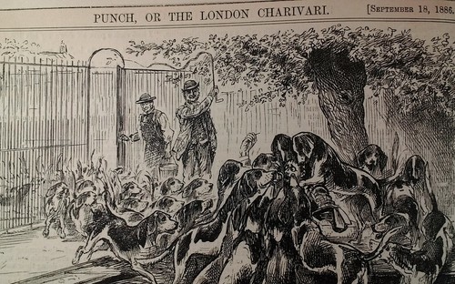 Punch Cartoon 1886 Antique Original Rare VHTF Etch Hound Dogs Artist ...