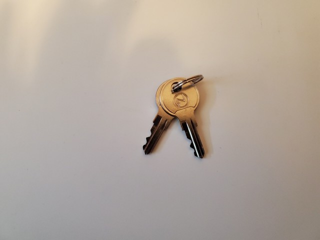 NOTIFIER 17021 Key and Cam Lock From Afp100 Fire Alarm Panel for sale ...