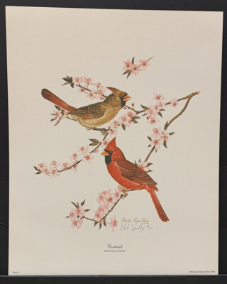 Charles Spaulding Limited Edition Signed Print “Cardinals” Vintage 1975 ...