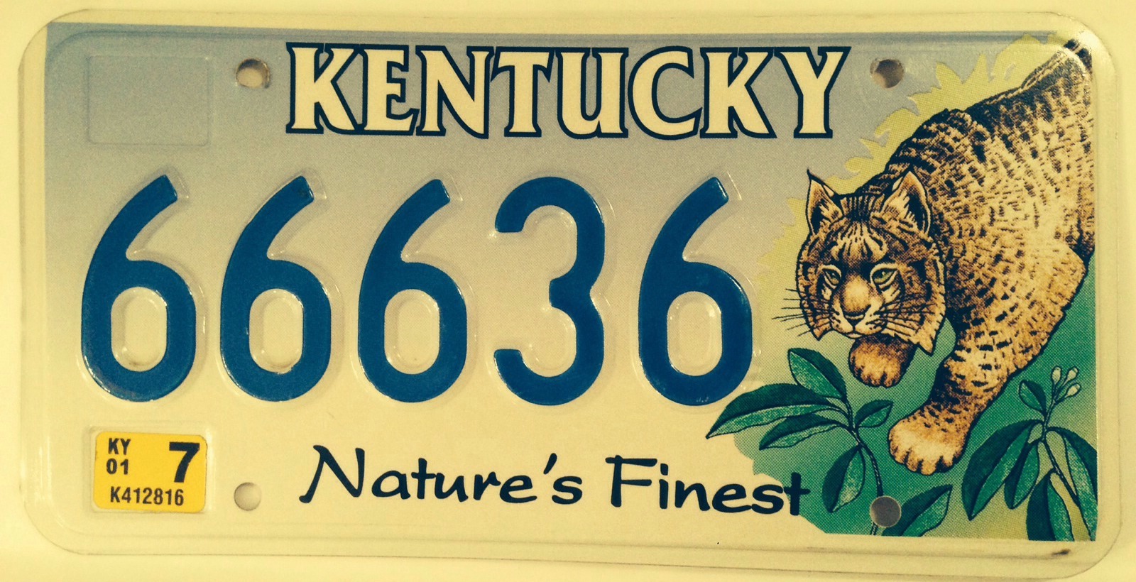 Quadruple Triple Digit 6 LYNX license plate 666 repeating number Evil ...