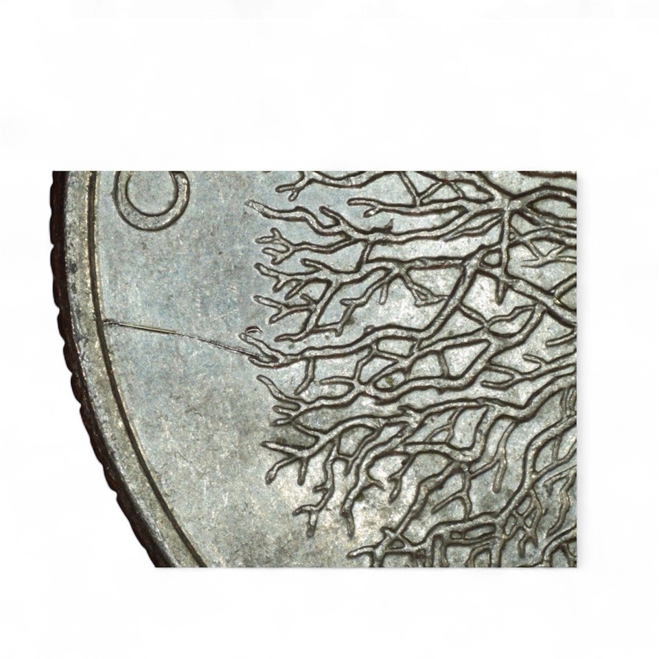 1999 D Connecticut Quarter Error Coin • Reverse Die Break • Rare Mint ...