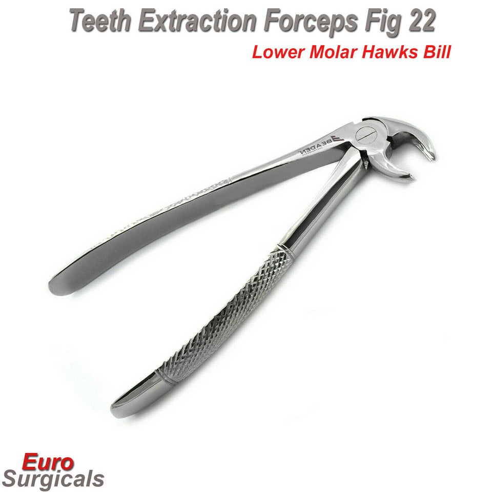 Dental Extracting Surgical Upper Lower Molars Tooth Removal Extraction ...