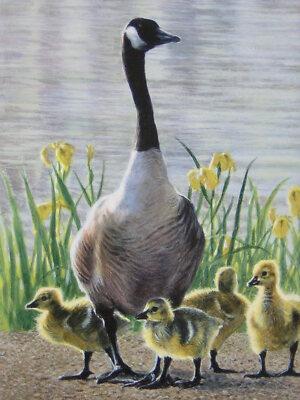 Matthew Hillier Mother Goose & Goslings Signed Limited Edition Art ...