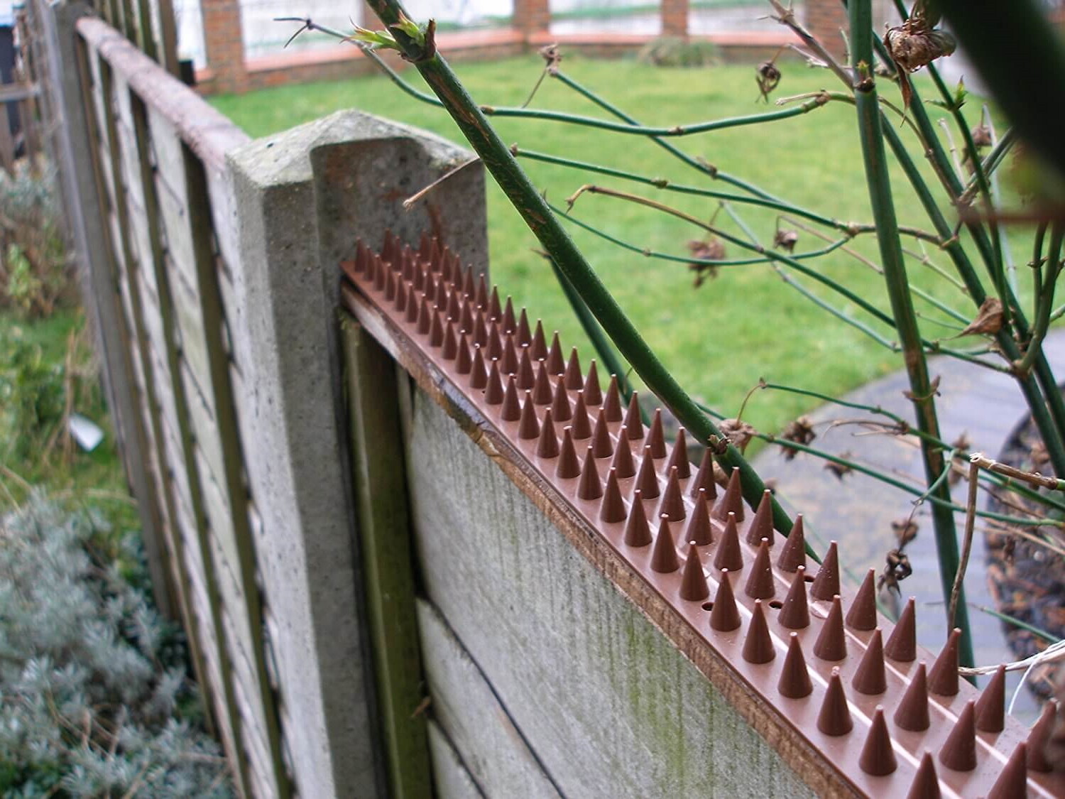 Wall Fence Top Spikes Strip Garden Security Intruder Bird Cat Burglar ...