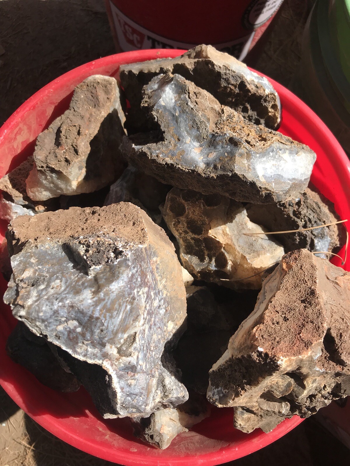 Colorful Agates From o6 Kokernot West Texas Ranch: Agate Rough Lapidary ...