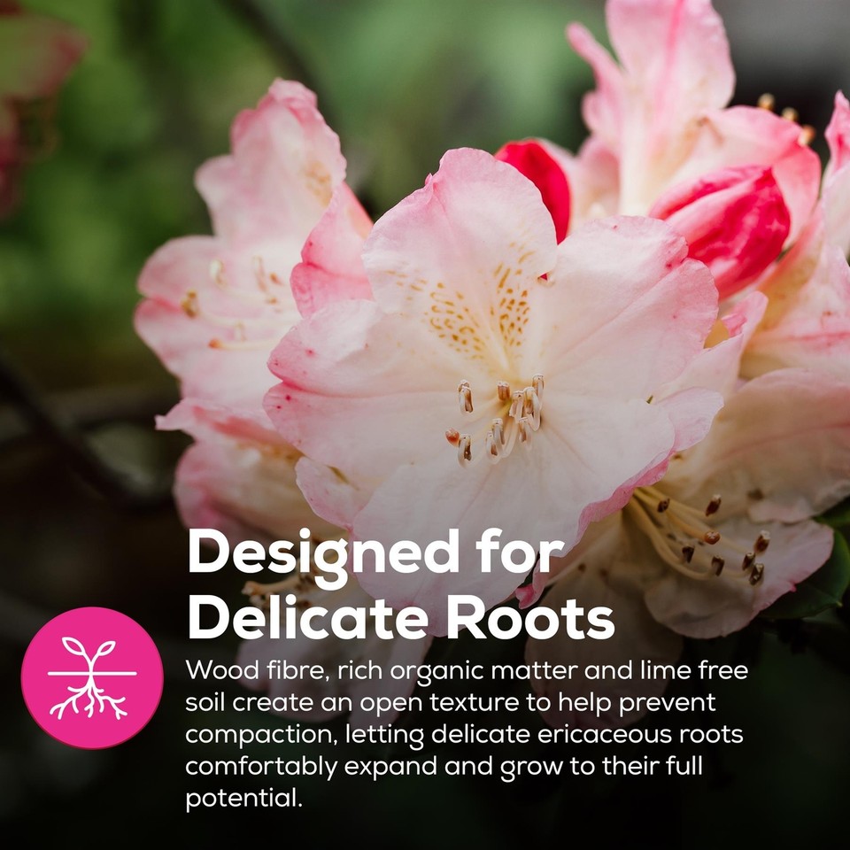 60L Ericaceous Compost Planting Potting Seedling Mix Indoor Outdoor ...